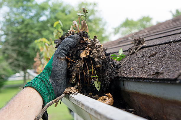 Professional Gutter Cleaning in Fleming Island, FL | Call (419) 548-4880