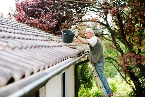 Expert Gutter cleaning in Ingram, TX | Call (419) 548-4880