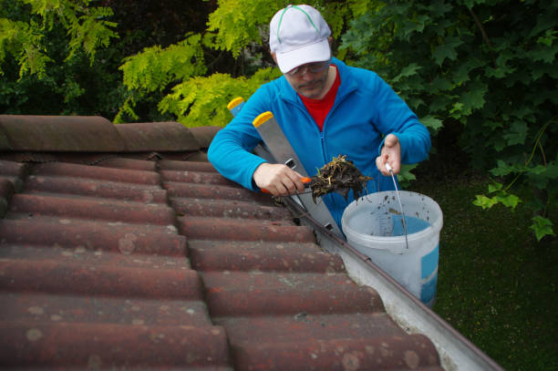 Expert Gutter cleaning in Ingram, TX | Call (419) 548-4880