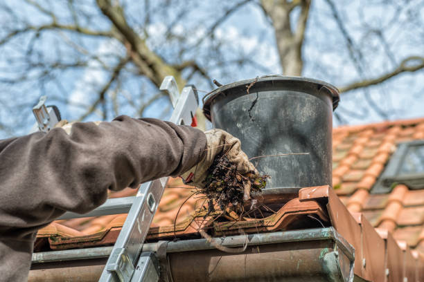 Gutter Cleaning & Repair in Alum Creek, WV | Call (419) 548-4880